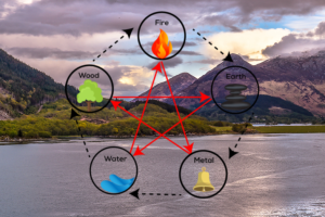 Welcome to the Shiatsu Society UK Website | Shiatsu Society (UK)